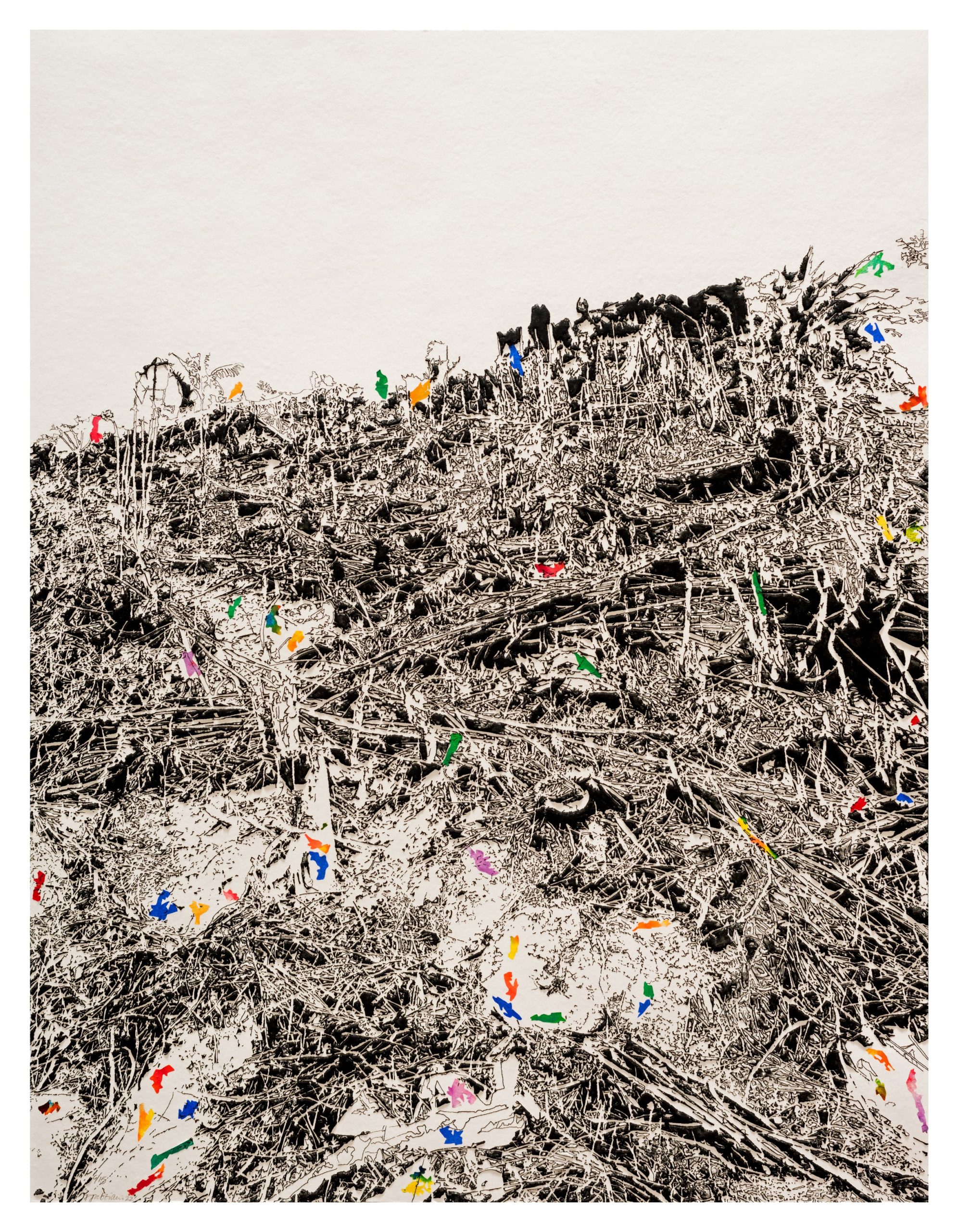 Francesca Gabbiani – Mixografia