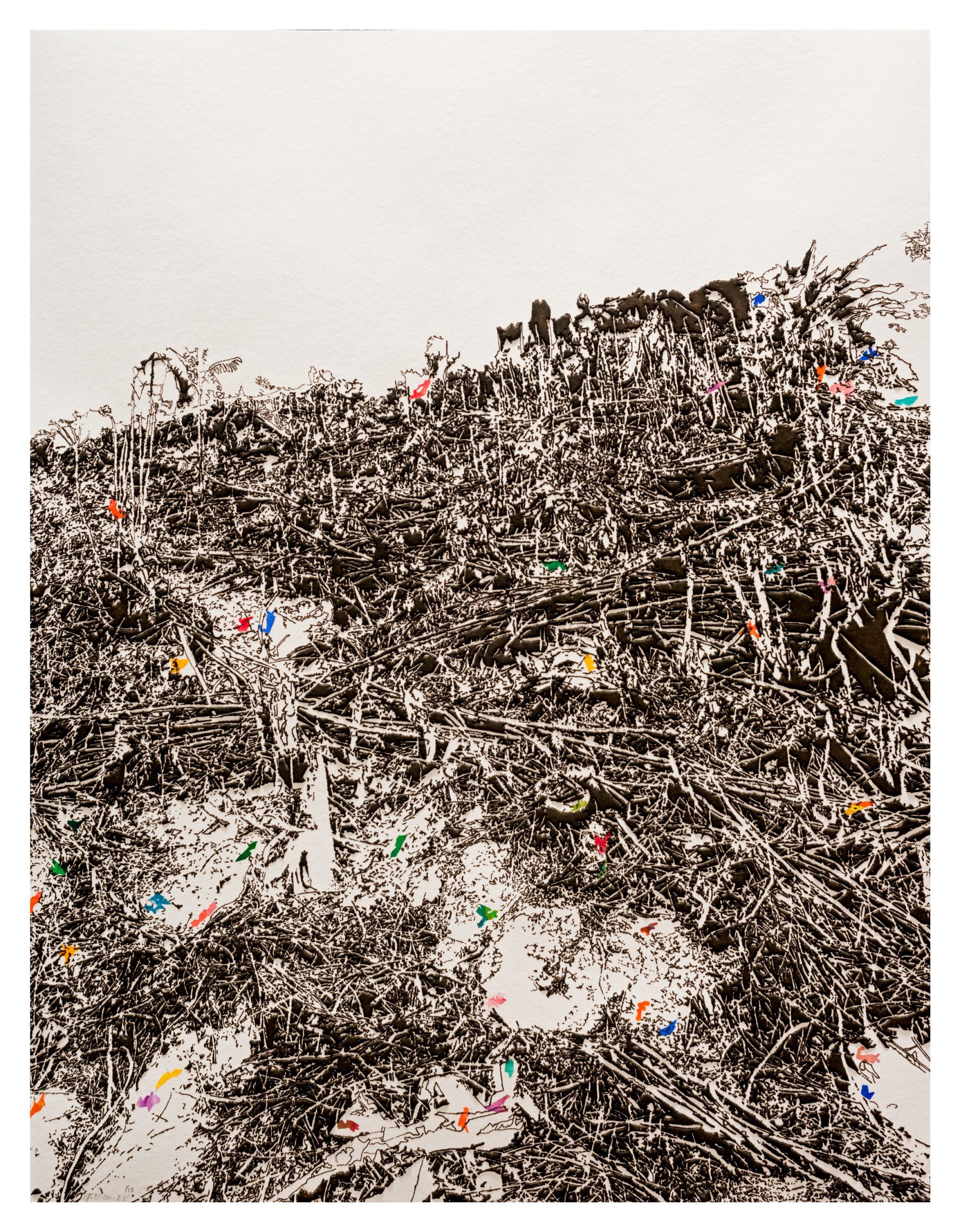 Francesca Gabbiani – Mixografia