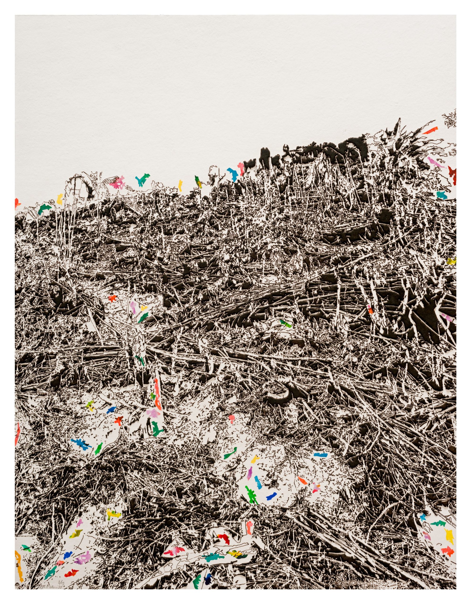 Francesca Gabbiani – Mixografia